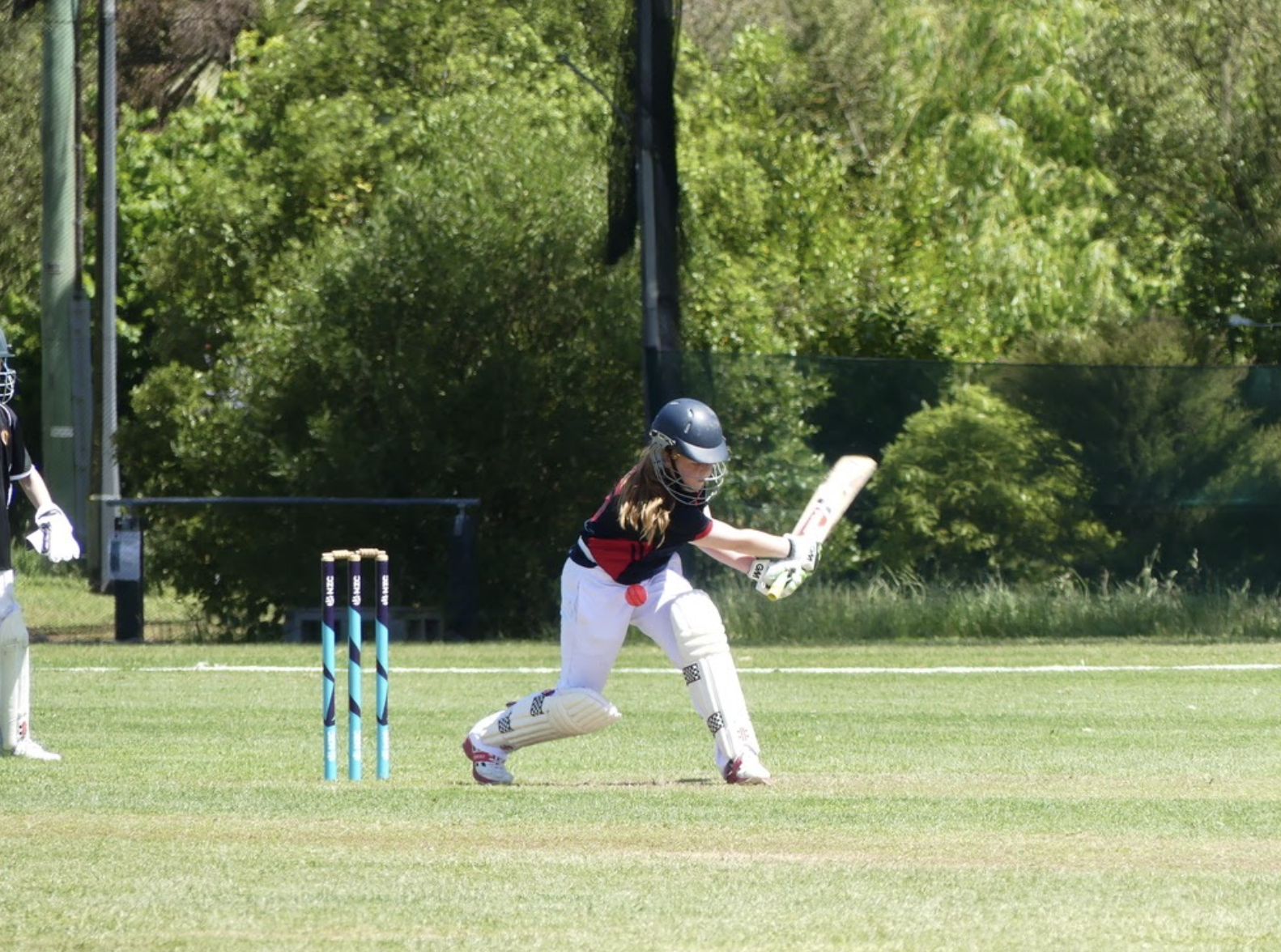 Summer Sports Registrations | Balmacewen Intermediate