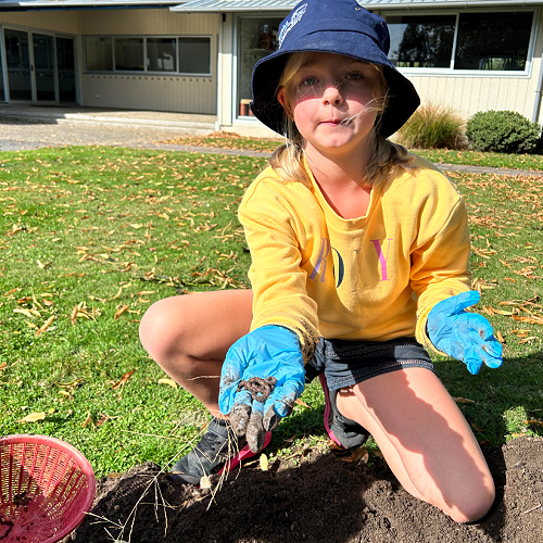 End of Term House Fun Day!!! — Term 1 Week 9 Newsletter