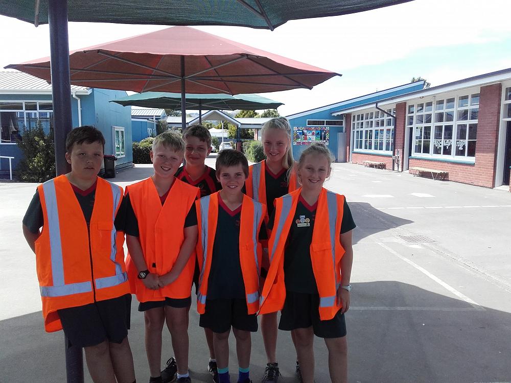 Physical Activity Leaders 2017