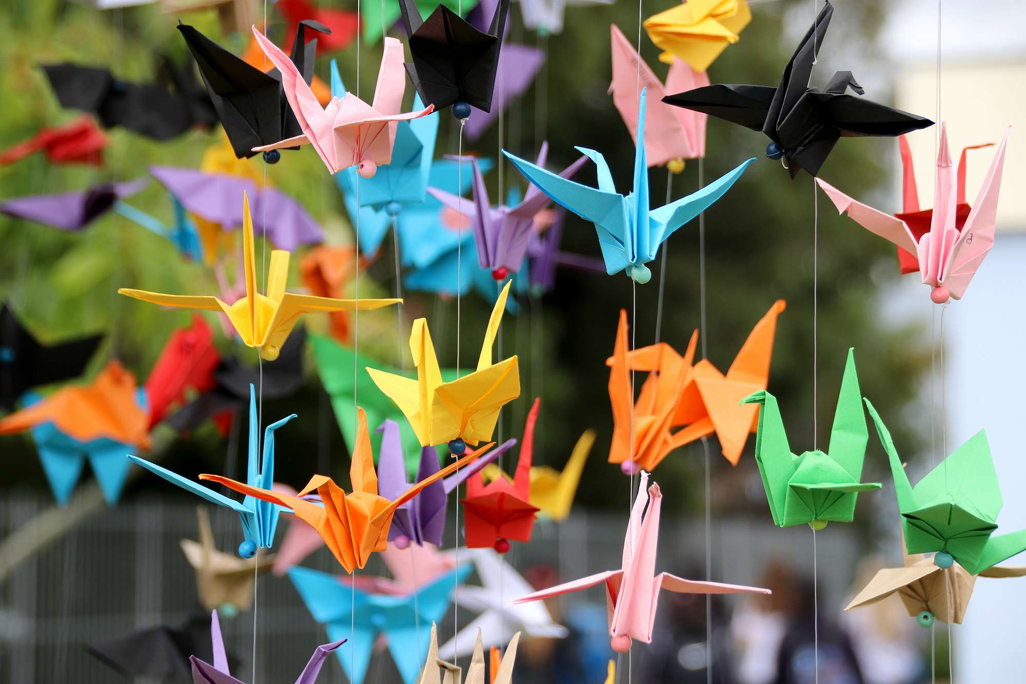 Year 9 Art Installation Project