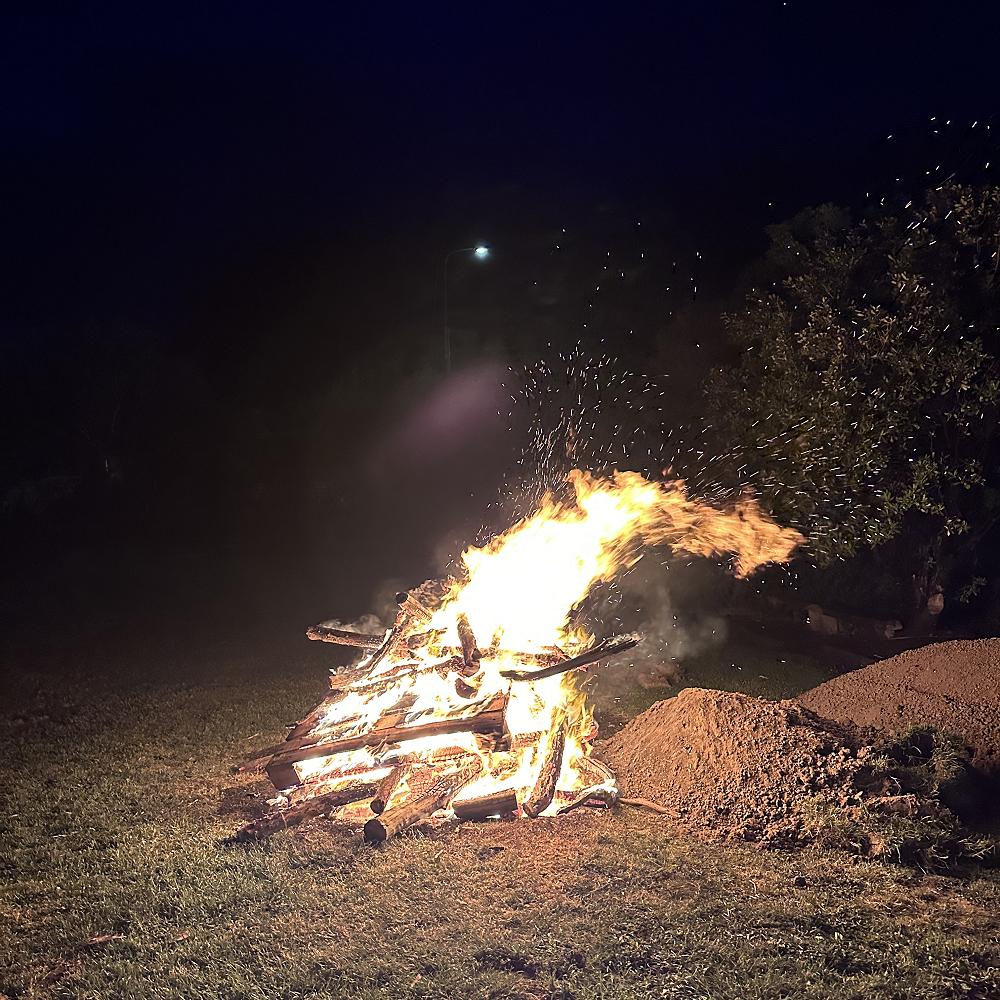 Year 8 — December Newsletter