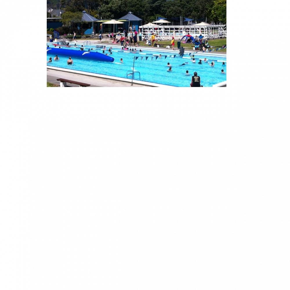 Waikanae Pools Picnic day - Thursday 19 December — Newsletter Week 9 ...