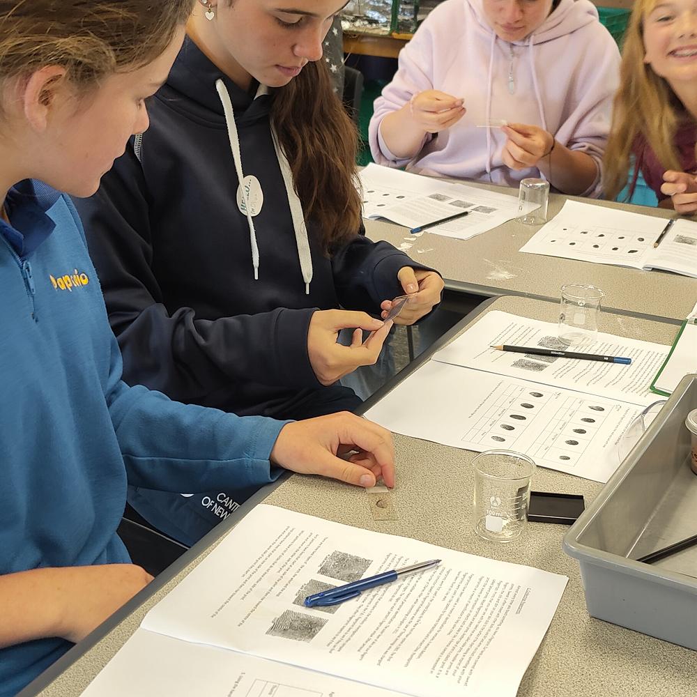 Year 8 Forensic Science Day