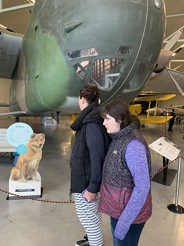 Adventures with Kākāpō