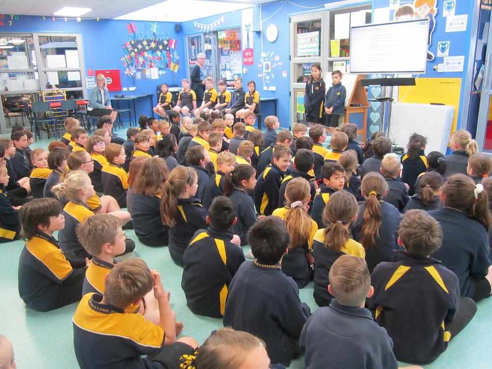 Term 4 in Team Explorer