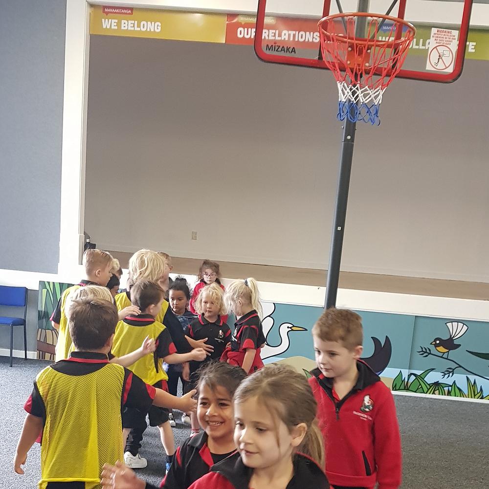 New Junior Basketball Hoops