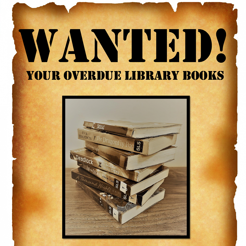 Library Book Amnesty