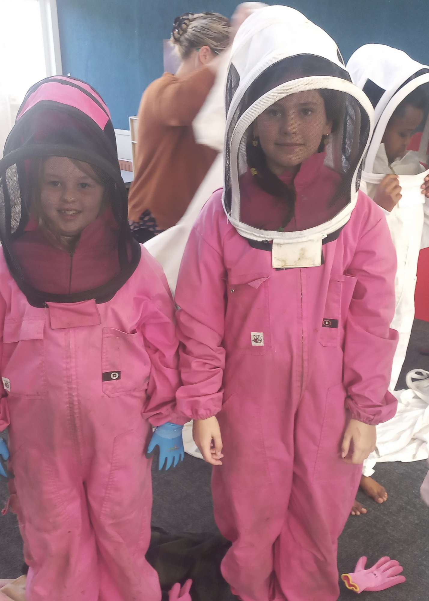 Bee Visit - Middle School