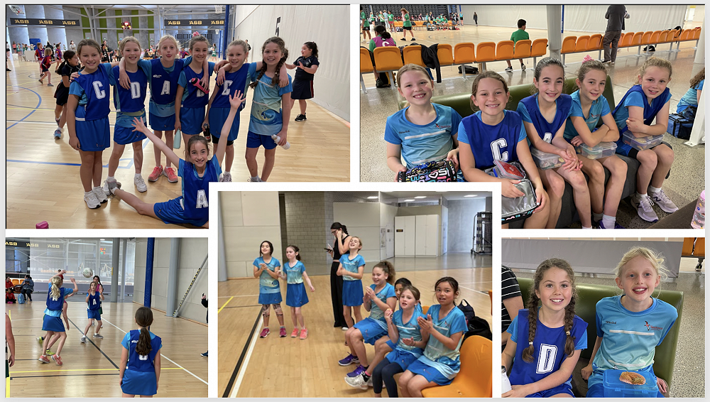 EZ Netball Report