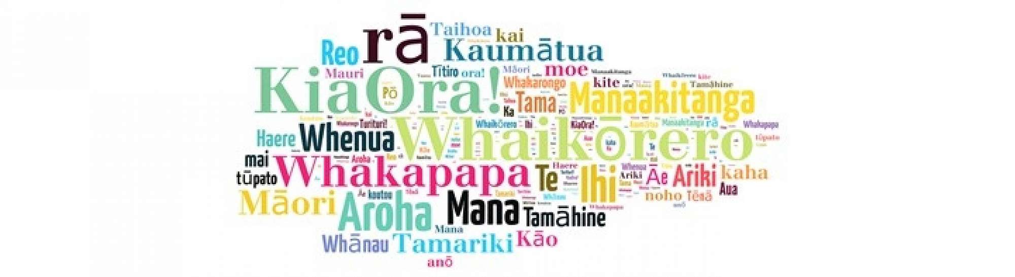 Te reo Māori, kura and Māori medium learning