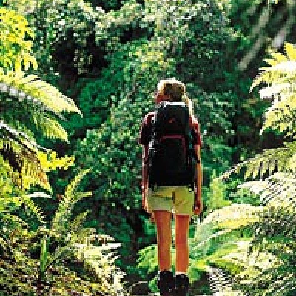 Hana Tapiata - Blog Post #250