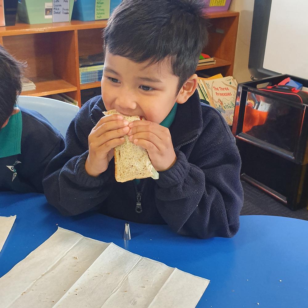 Traffic Light Sandwiches in Room 20