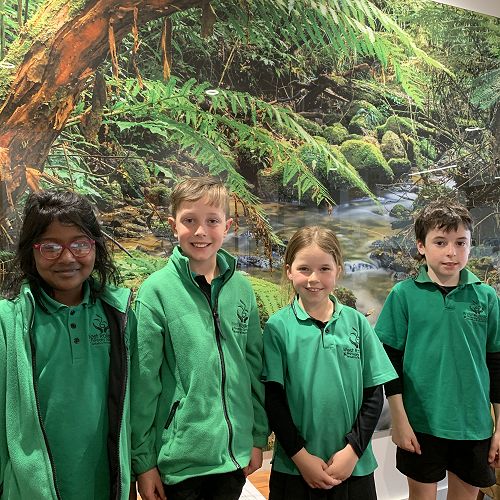 West Rolleston Primary School