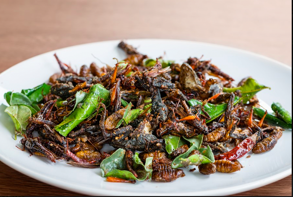 Deep fried or chocolate dipped..eating insects makes good sense ...