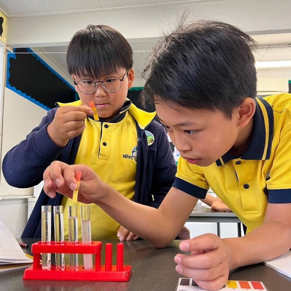 What’s Happening in Year 6 STEM this Week? — Newsletter: Term 1, Week 5