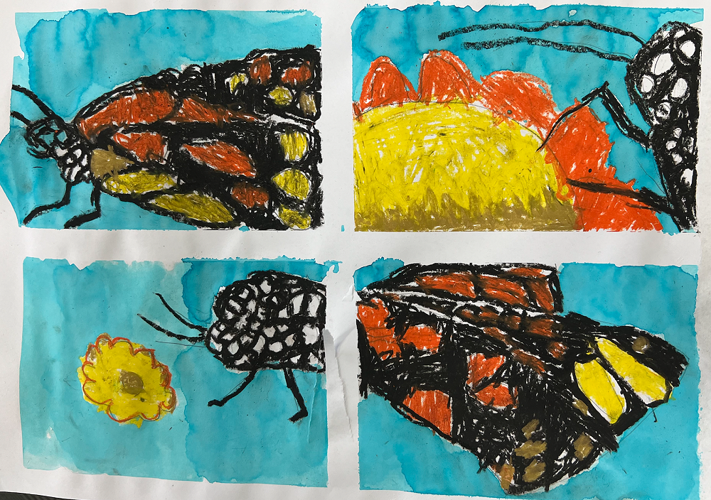 Pānui Week 10 Term 3