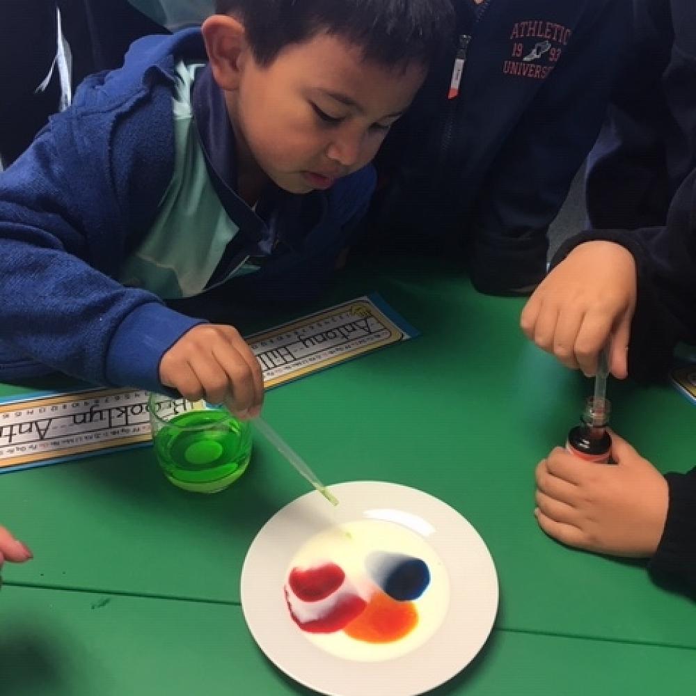 Over the last two weeks our children have experimented: built things ...