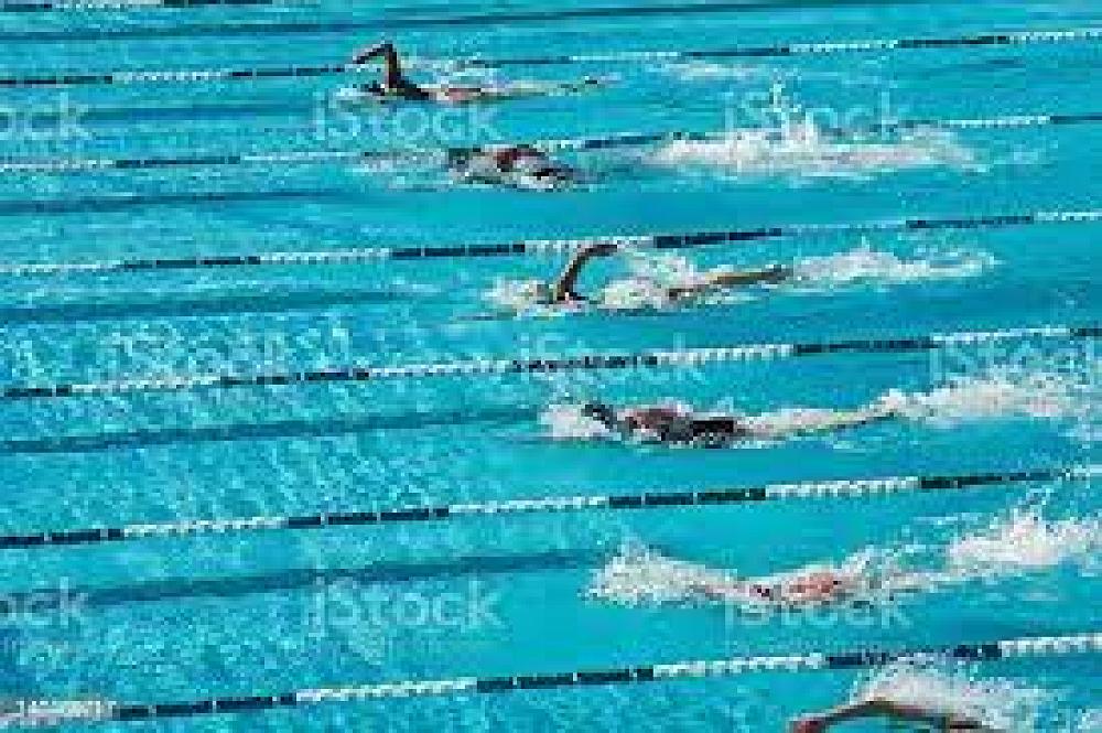 Congratulations to our Swimmers