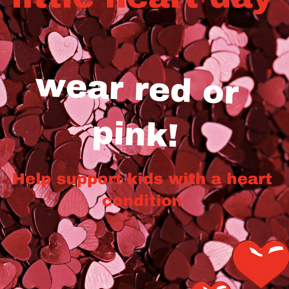 Little Heart Day Fundraiser