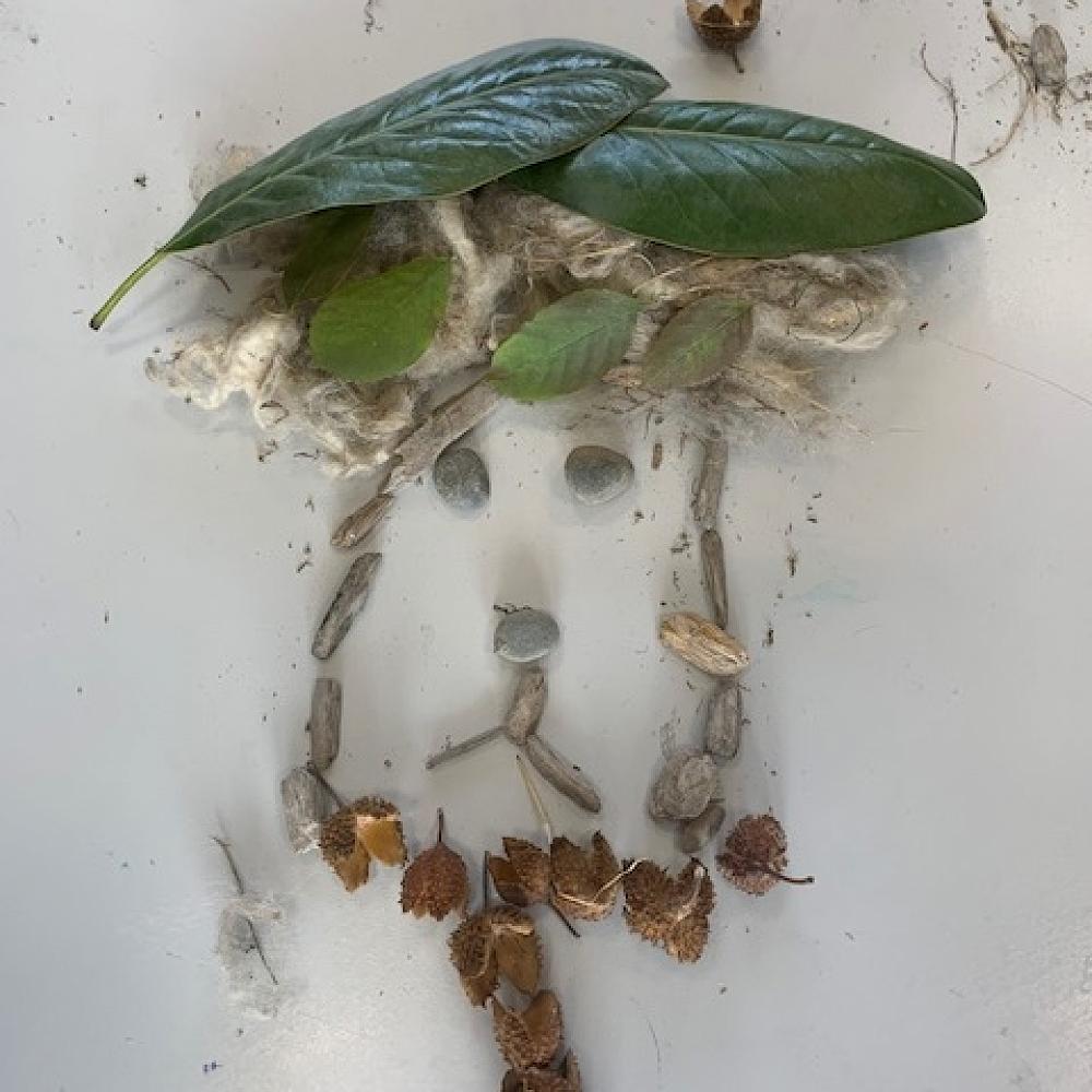 Nature Faces