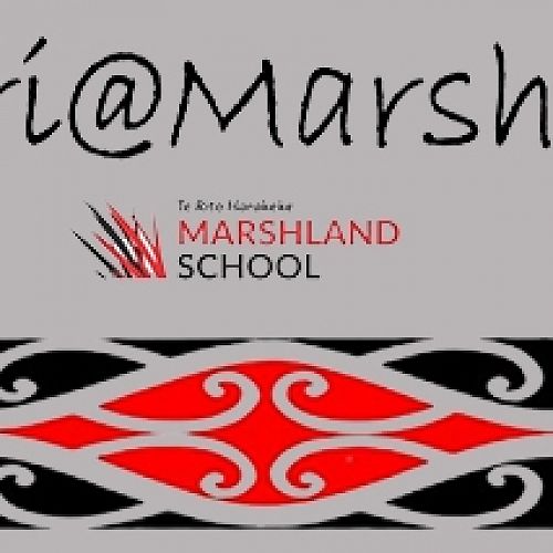 te-rito-harakeke-marshland-school