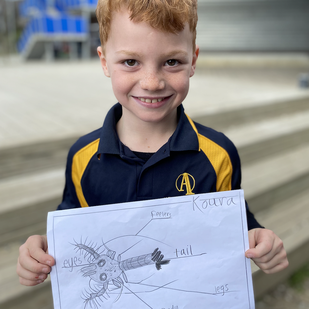 APS Newsletter - Week 7, Term 3 (Monday 28th August)