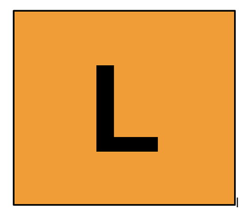 Syndicate 1 - Term 1 2024