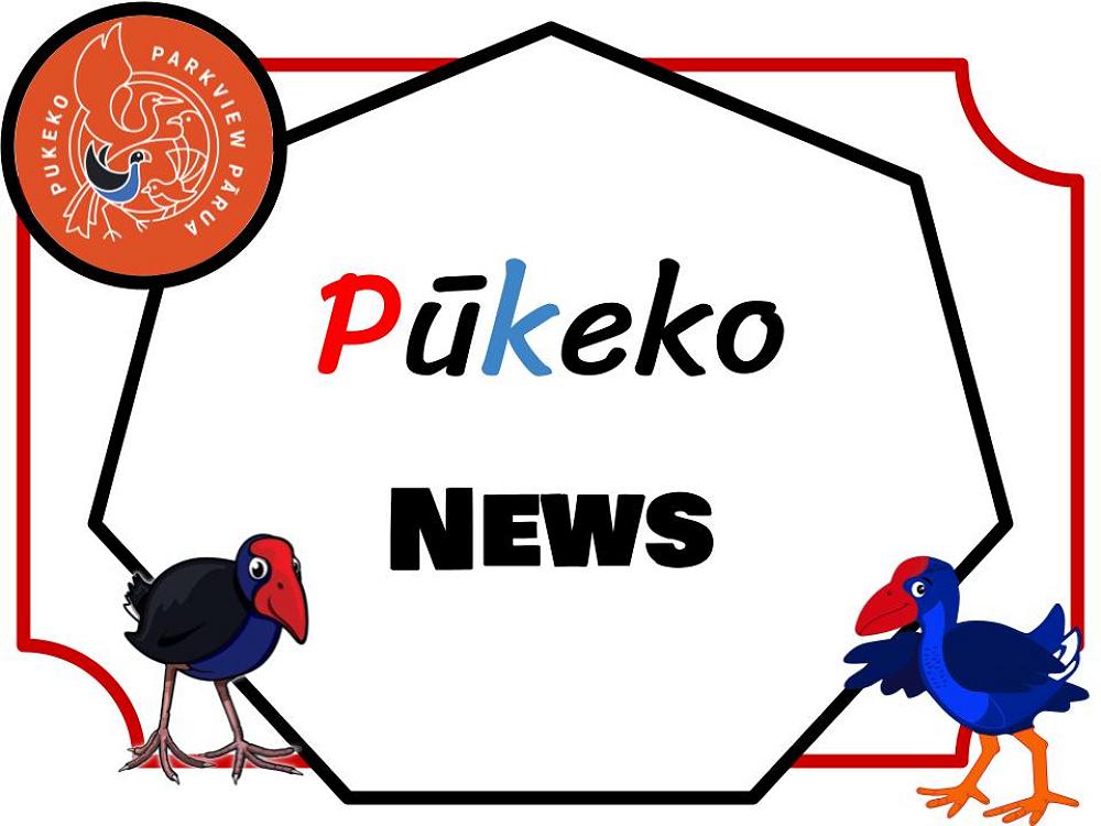 Pukeko in Print — Term 2 - Week 1