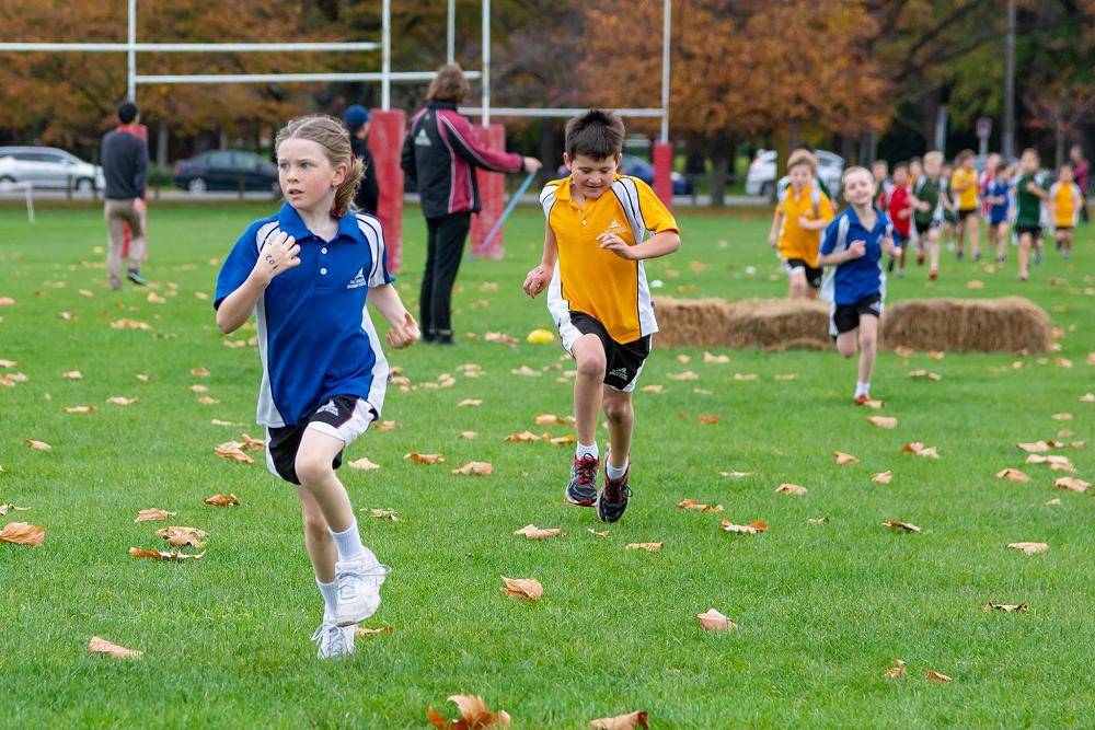 School Cross Country