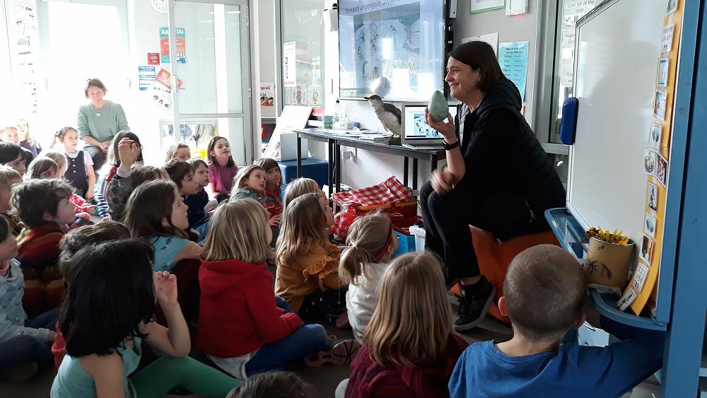 Pop up Penguin Programme