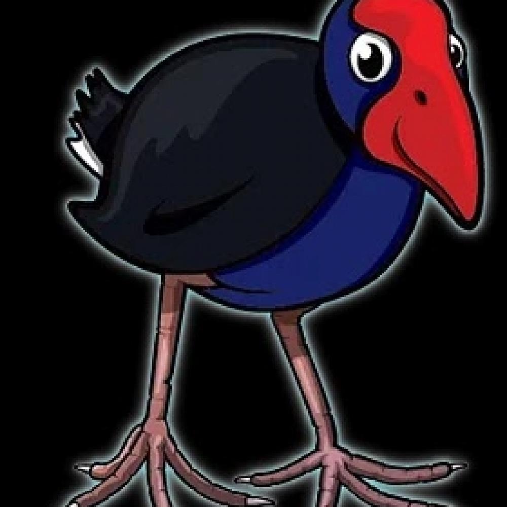 Pukeko Pārua End Of Term Values Awards