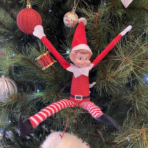 Newsletter - Week 9 Term 4 by Te Kura o Huriawa Thorrington