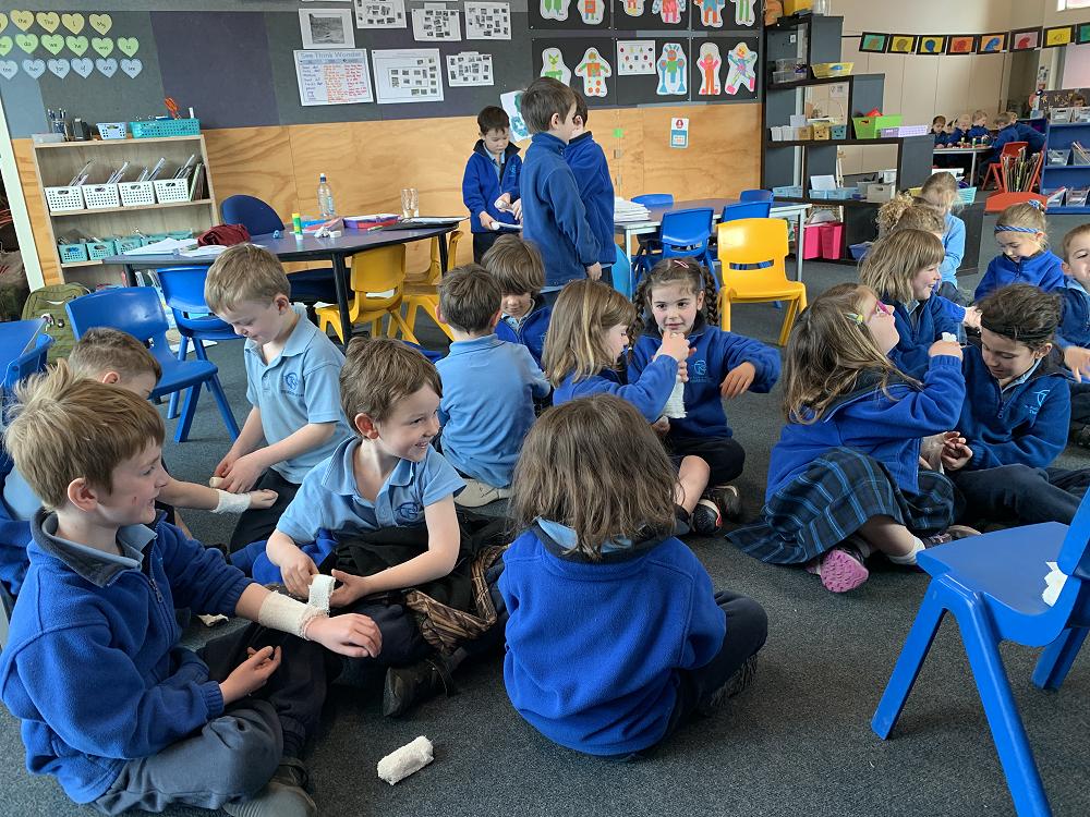 Newsletter - Week 7 Term 3