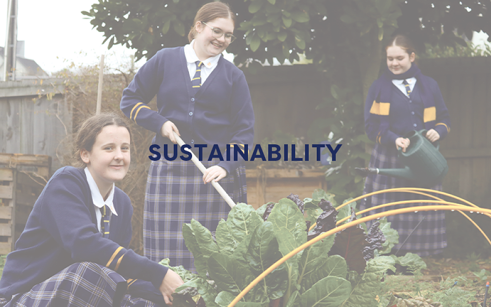 Updates on Sustainability Initiatives