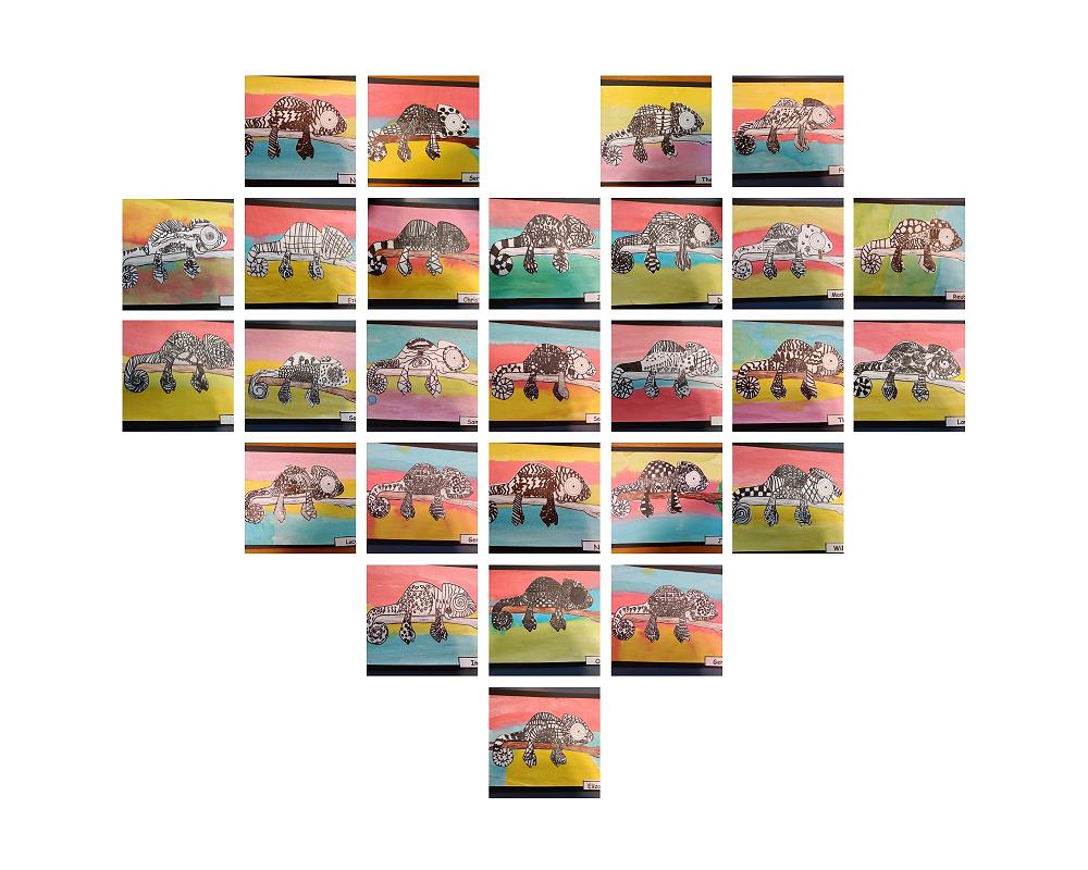 Room 21 - Term 1 Highlight