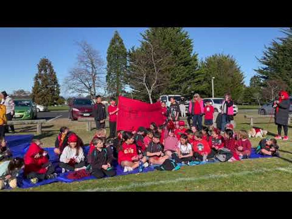 Video: AROHA Corner