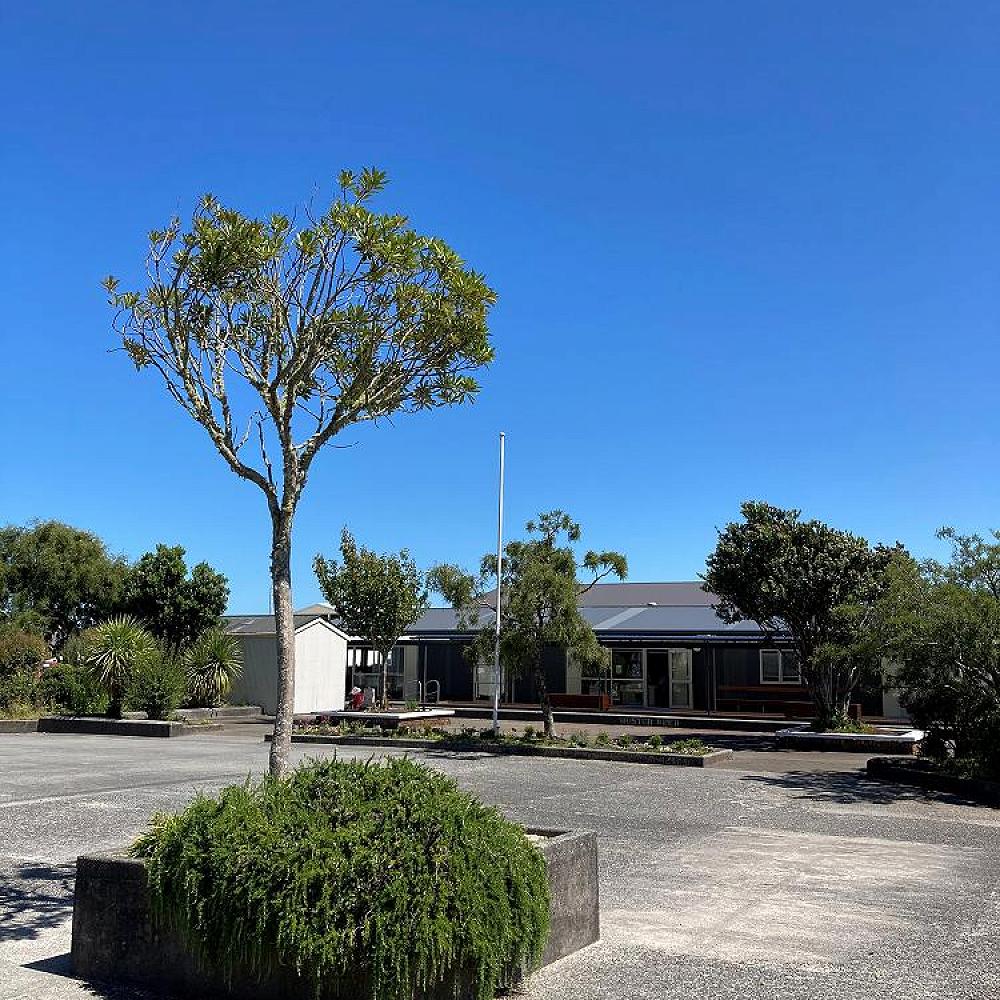 Term One - Week 8, School Newsletter