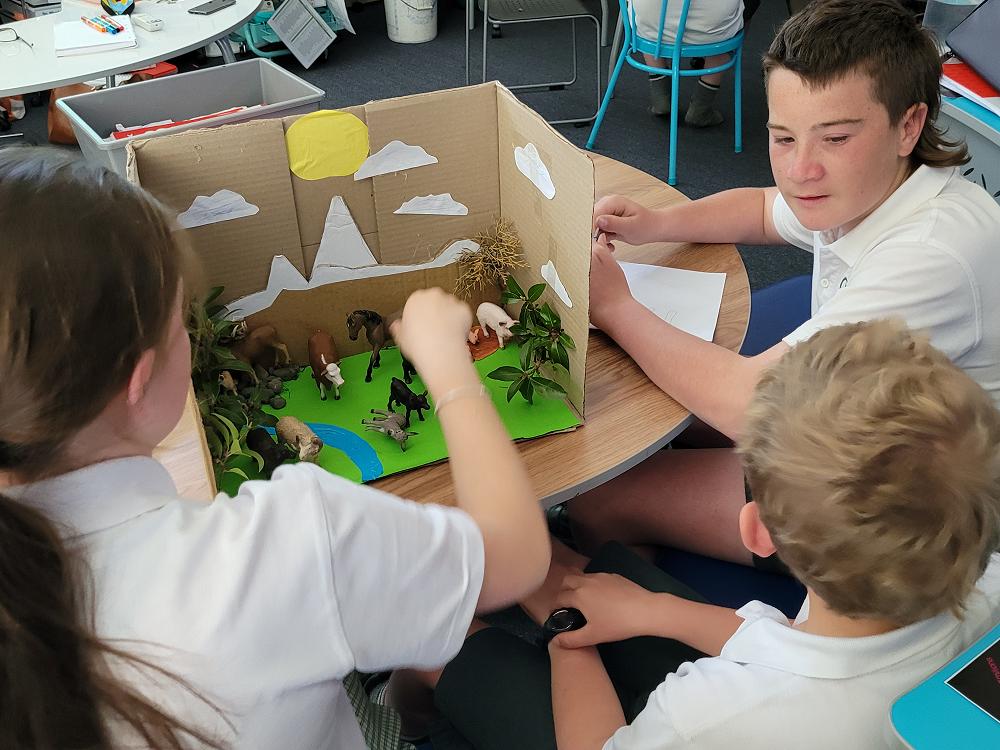 YEAR 7 & 8 SCIENCE IN ACTION