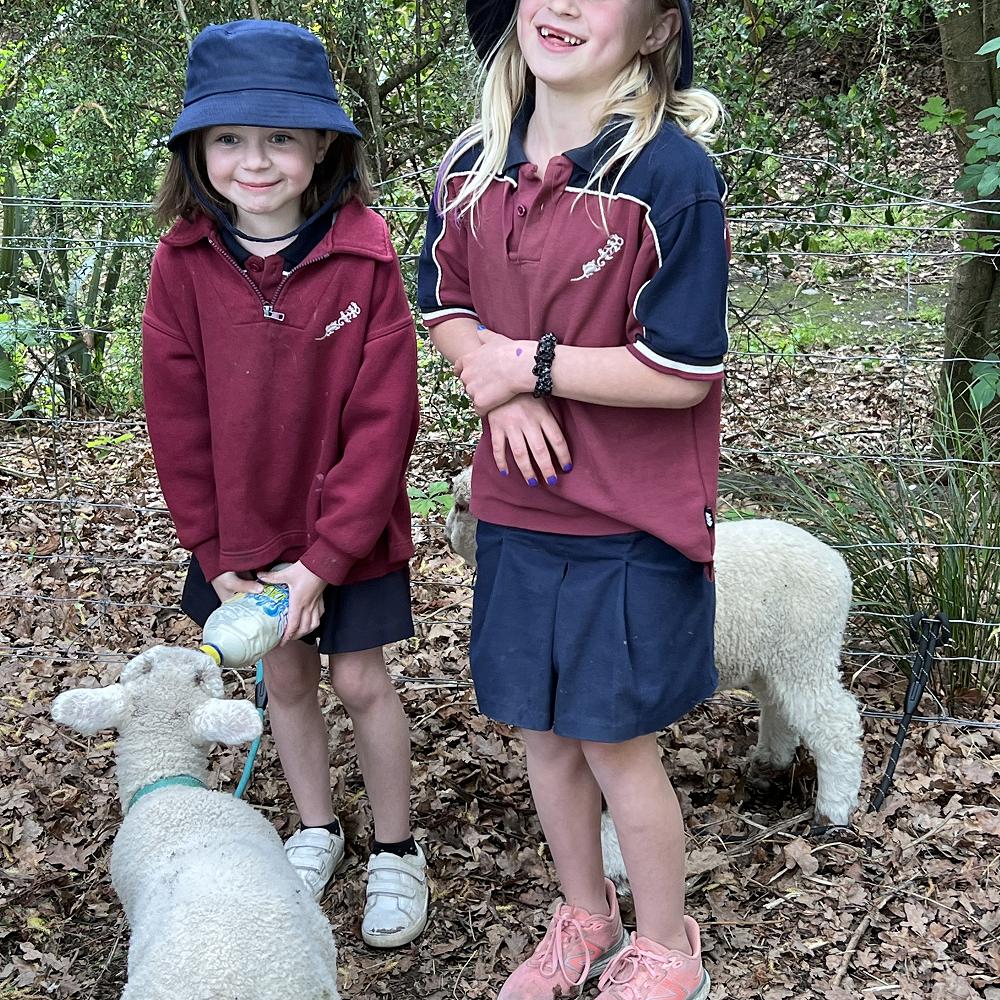 Point Primary Pānui - Term 4 Week 3