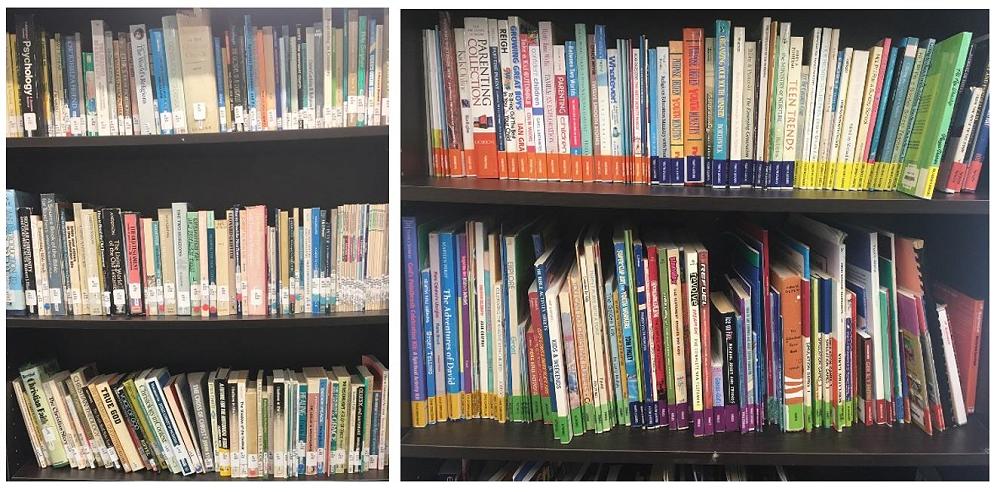 In Search of a New Bookshelf