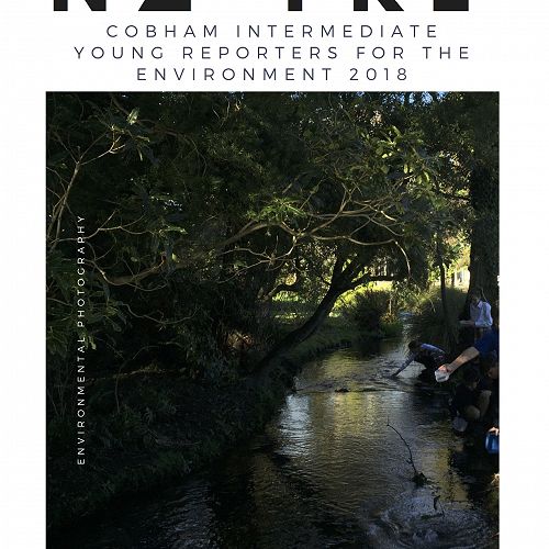 COBHAM NEWSLETTER, Week 4, Term 3, 2018.