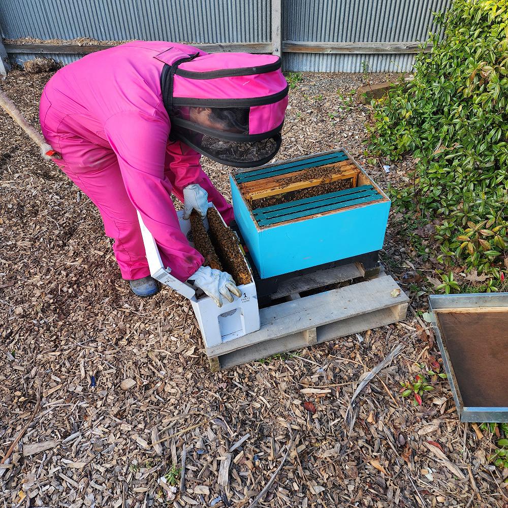 Newsletter 1, Week 1, Term 4, 2022
