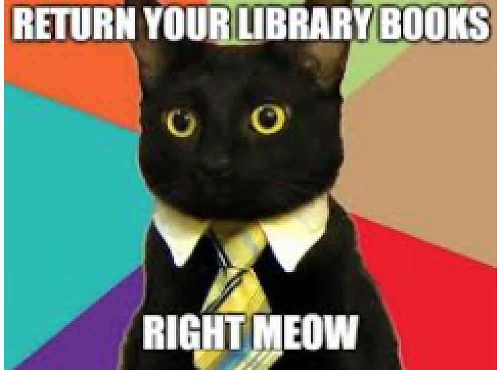 ALL library books are due back by 4 December 2023.