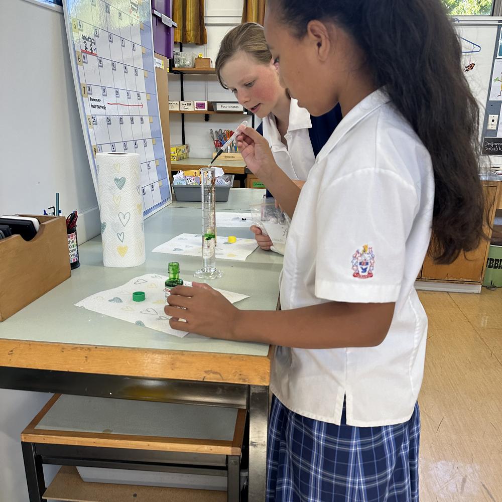 Year 9 Science Observations — Newsletter 2 2024