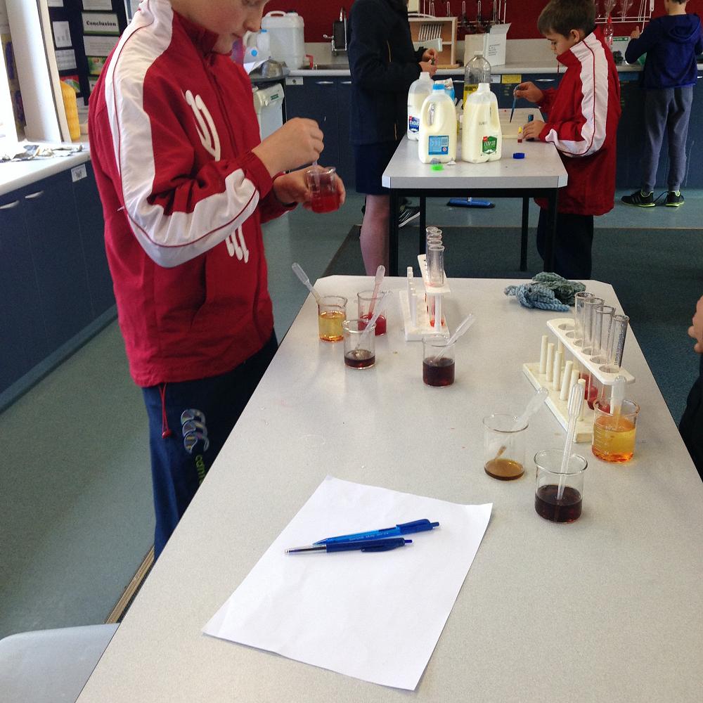 Year 6 Extension Science
