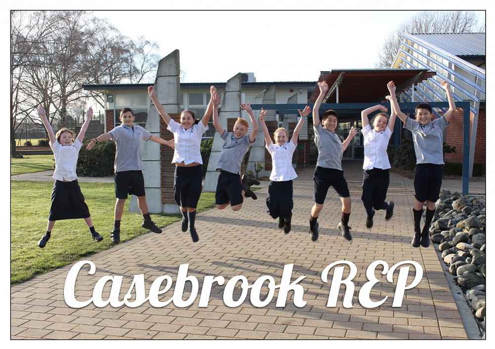 Welcome to the home of the Casebrook REP!