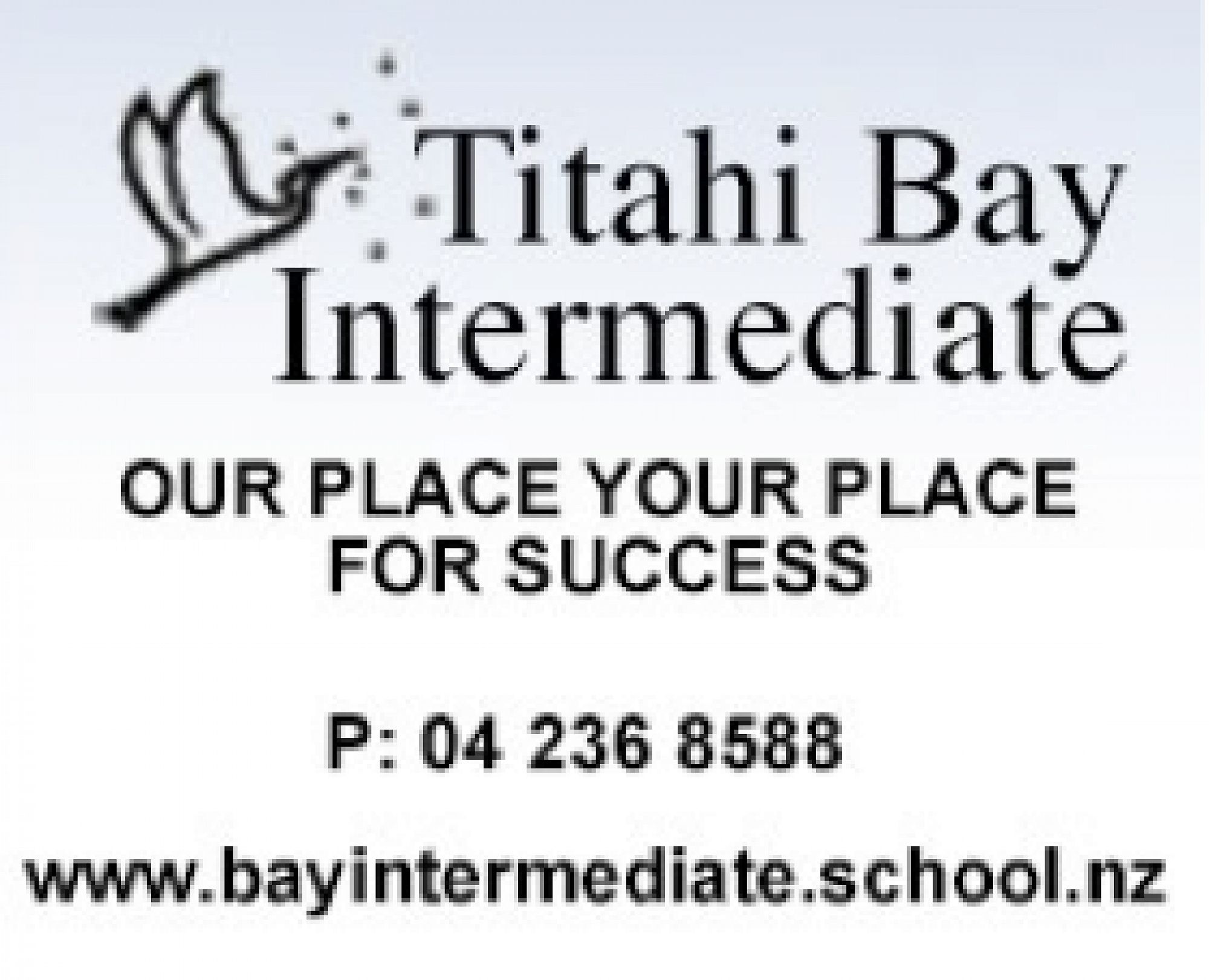 TITAHI BAY INTERMEDIATE — Newsletter • Term 4 • Issue 20, 17 November 2021