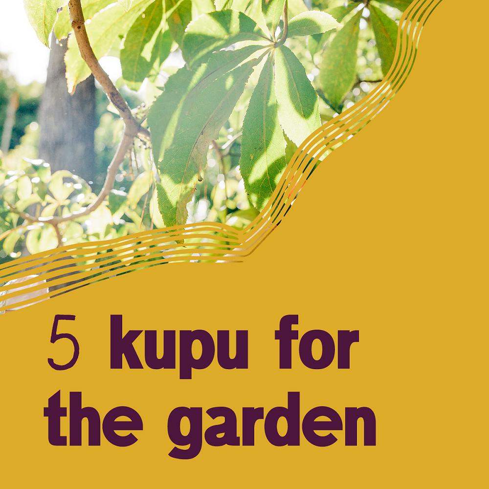 Kupu Hou mō te Māra