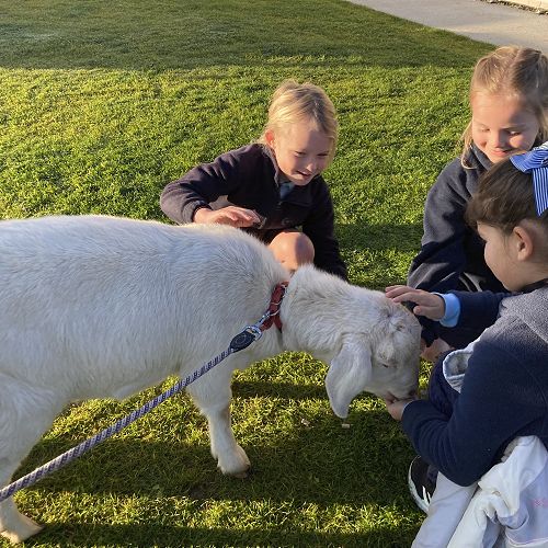 Cromwell Primary School