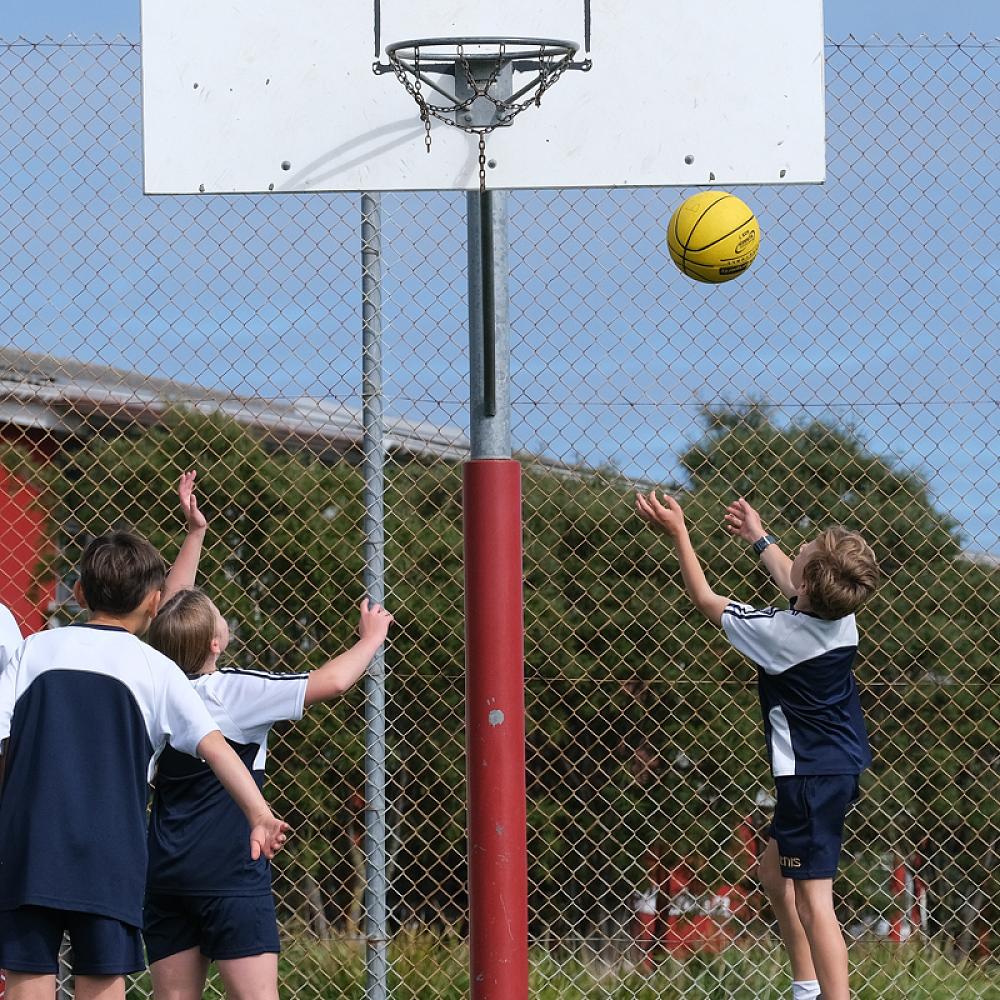 Term 1 Summer Sports Sign Ups